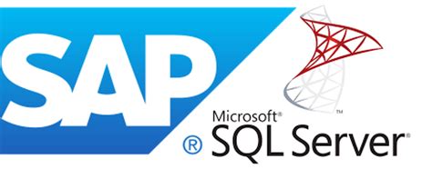 Licencias Runtime De Sql Server Y Sap Wezen