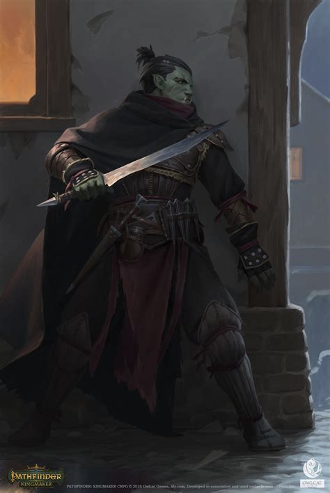Pathfinder Kingmaker Assassin By Akim Kaliberda Rimaginaryassassins