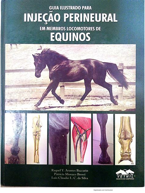 Injeção Perineural De Equinos Pdf