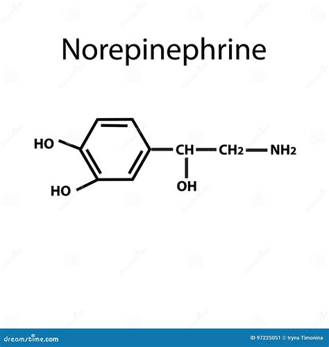 Norepinephrine Hormone Pathway Vector Illustration