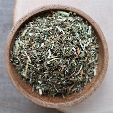 Moerasspirea Herbomont