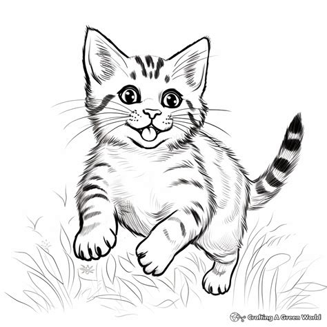 Tabby Cat Coloring Pages Free And Printable