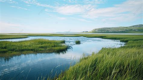Scenic Seascape Of Bay With Green Marsh Grass Background Seascape