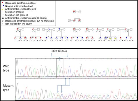 Genetic Testing Of Hereditary Antithrombin Deficiency In A Large Us