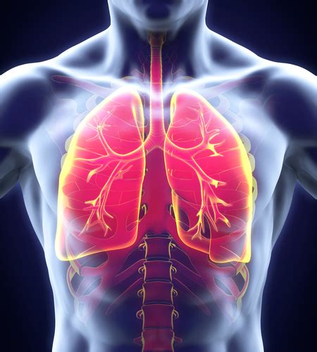 Copd And Bronchiectasis Similarities And Differences Lung Disease News