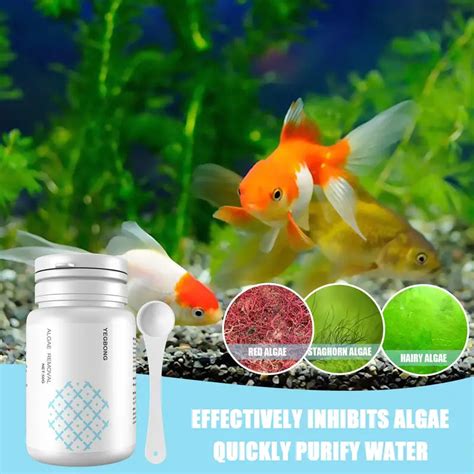 Algae Remover Aquarium Algae Killer For Sale Australia Aushrimphome