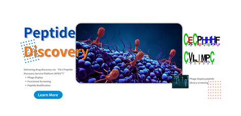 Peptide Expert And Peptide Discovery And Custom Peptide Sythesis