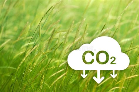 Co2 Reduction Icon On Green Wheat Co2 Reduction Concept For Environment Stock Illustration