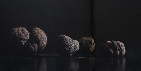 The Truffle Cookbook Rodney Dunn Book Review