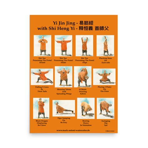 12 Yi Jin Jing Postures With Shi Heng Yi 18 X 24 4572 Cm X 60
