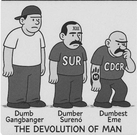 La Eme Mexican Mafia Control Over California Gangs Gang Violence