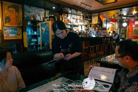 深夜老店咖啡廳，必吃超chill青椒牛肉炒飯－和平咖啡館 桃園中壢 威利博斯的白金殿堂