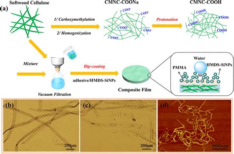 Preparation Of Multifunctional Cellulose Based Composite Films