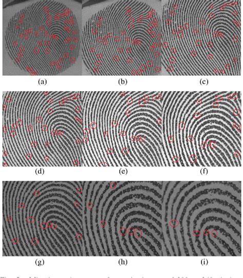 Figure 1 From Selecting A Reference High Resolution For Fingerprint