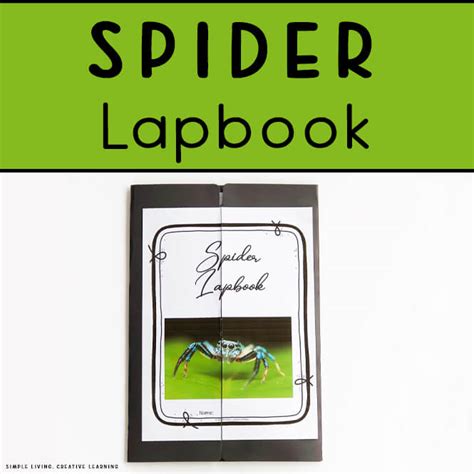 Spider Lapbook Simple Living Creative Learning