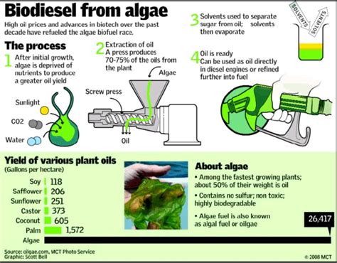Crude Oil Accelerator Algae Biofuel Technology Xflash Systems