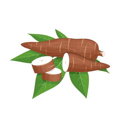 Cassava Cartoon Vector Art Icons And Graphics For Free Download