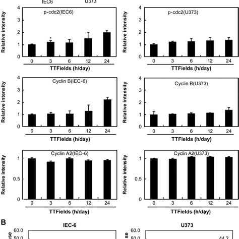 Effects Of The Fractionated Tumor Treating Fields Ttfields On The