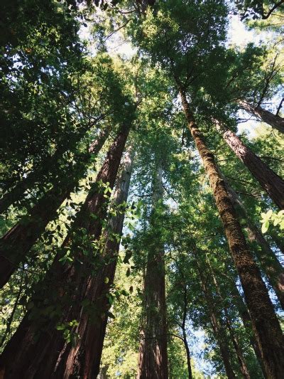 Skyward Big Basin Tumbex