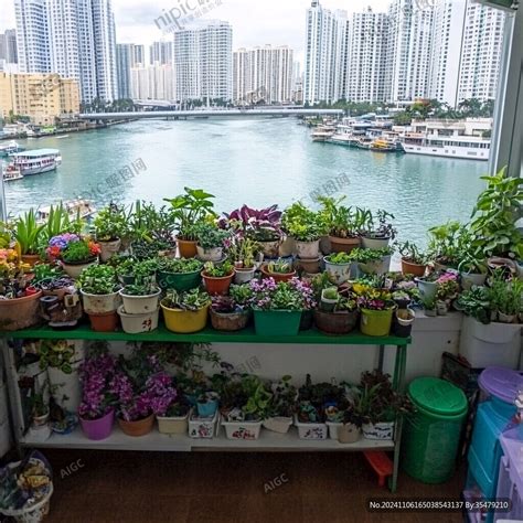 Ai创作图阳台盆栽花盆种植观赏 博览海滨花园 阳台花卉种植 居室美化阳台种植 阳台养花 阳台绿化 盆栽花房 海湾旁花园 阳台祥和 阳台上的绿化