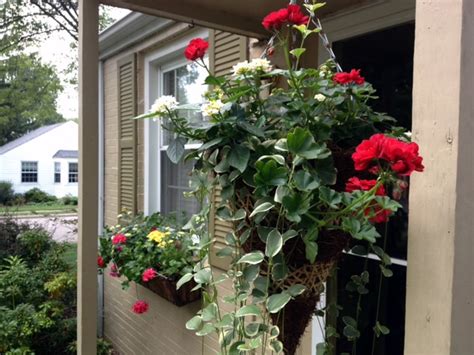 Beyond The Container Dean Hildreth Fine Gardening