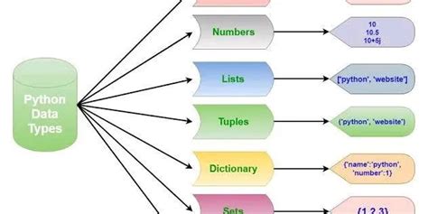 Data Types Python Learn Data Science With Travis Your Ai Powered Tutor Data Types Python Learn Data Science With Travis Your Ai Powered Tutor