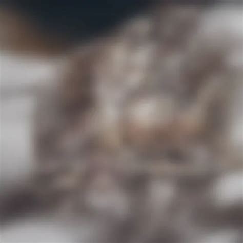 Understanding The Quantum Of Energy In Modern Physics