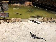 Categoryvisitor Attractions In Orlando Florida Wikimedia Commons