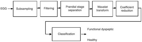 Preprocessing And Classification Steps At The Input The Download
