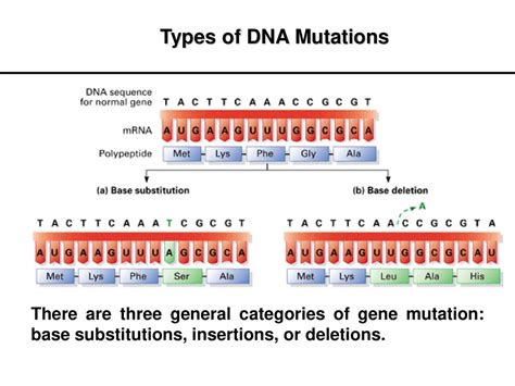 Dna And The Language Of Life Ppt Download