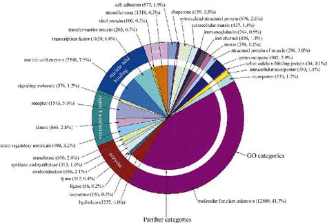 Human Genome Sequence