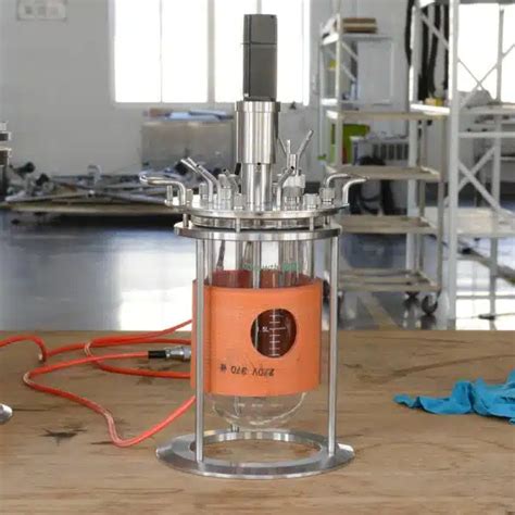 Glass Fermentation Vessel Ritai Bioreactor