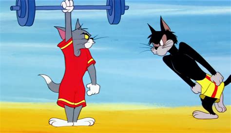 汤姆这一天天的，和狗斗和猫斗 爱奇艺