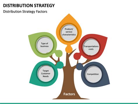 Distribution Strategy Template