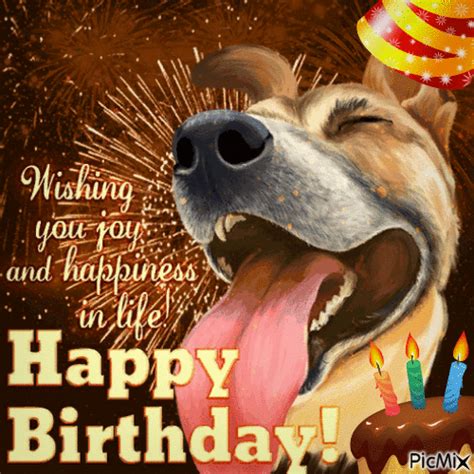 Happy Birthday Images Funny  Photos