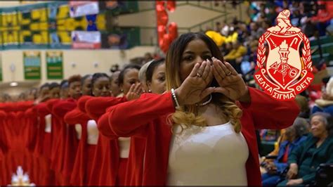 Akron Alumnae Chapter Delta Sigma Theta Sorority Inc Spring 24