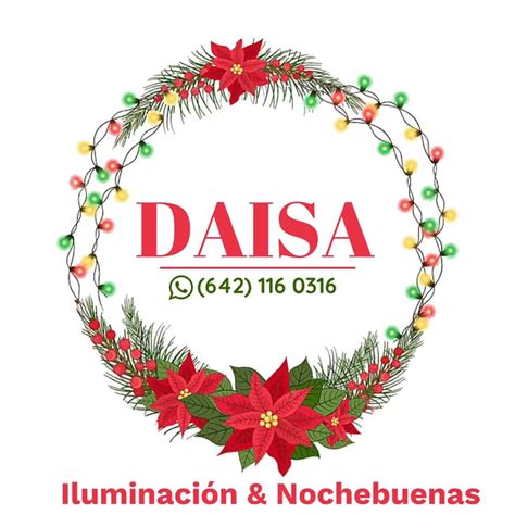 Daisa Iluminacion Y Nochebuenas