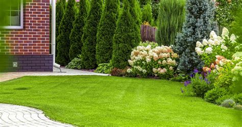 How To Grow Greener Thicker And Healthier Grass With 1 ‘essential
