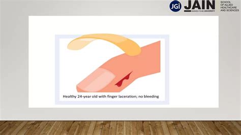 Triage Hospital Codepptx