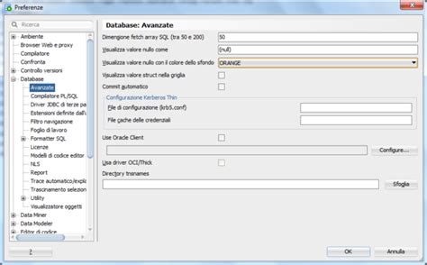 Come Evidenziare Le Colonne Null Su Sql Developer Milleguide