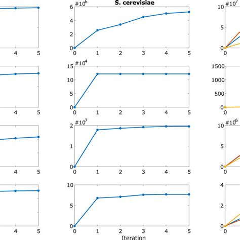 Improvement Of Alignment Based Metrics Fewer Unique K Mers Download Scientific Diagram