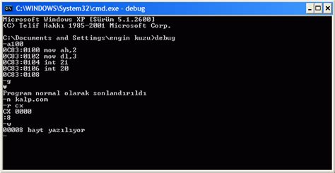 Elektronik Ve Yazılım Assembly