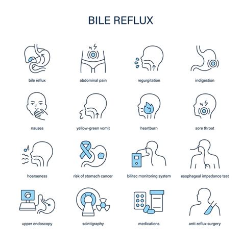 18 Biliary Endoscopy Medicine Stock Vectors And Vector Art Shutterstock