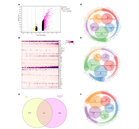A The Differentially Expressed Analysis Between Low And Download