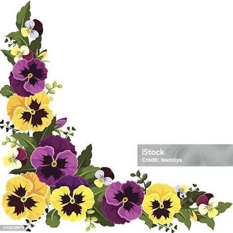 Latar Belakang Sudut Dengan Bunga Pansy Ilustrasi Vektor Ilustrasi Stok Unduh Gambar Sekarang