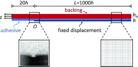 Schematic Of A Finite Element Model And Mesh Strategy The Red And Blue Download Scientific