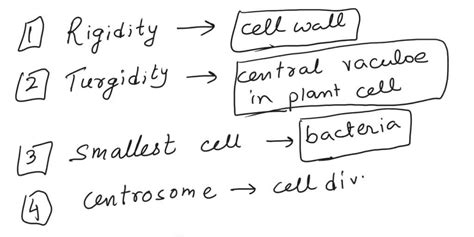 Solved 1 Rigidity Is Provided By The 2 Turgidity Is Provided By 3