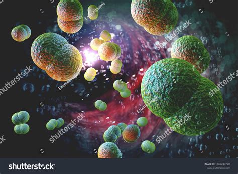 Microscope Close Meningitis Bacteria Known Meningococcus Stock Illustration 1869244720