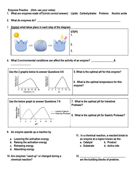 Enzymes Practice Pdf