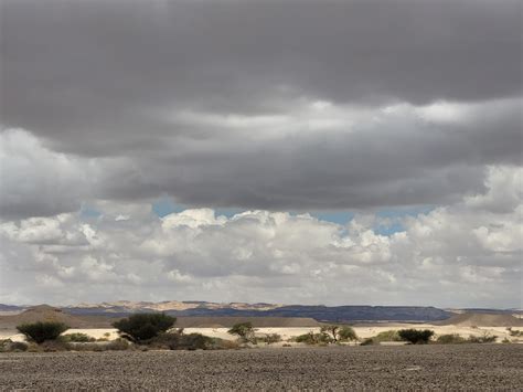 ‎ערבה גארדן Arava Garden‎ Added ערבה גארדן Arava Garden